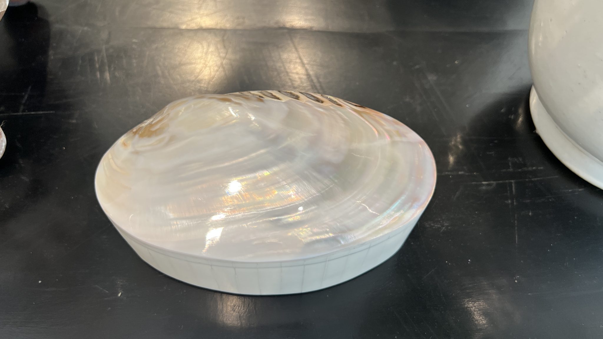 Large Abalone Box | Official Tara Shaw