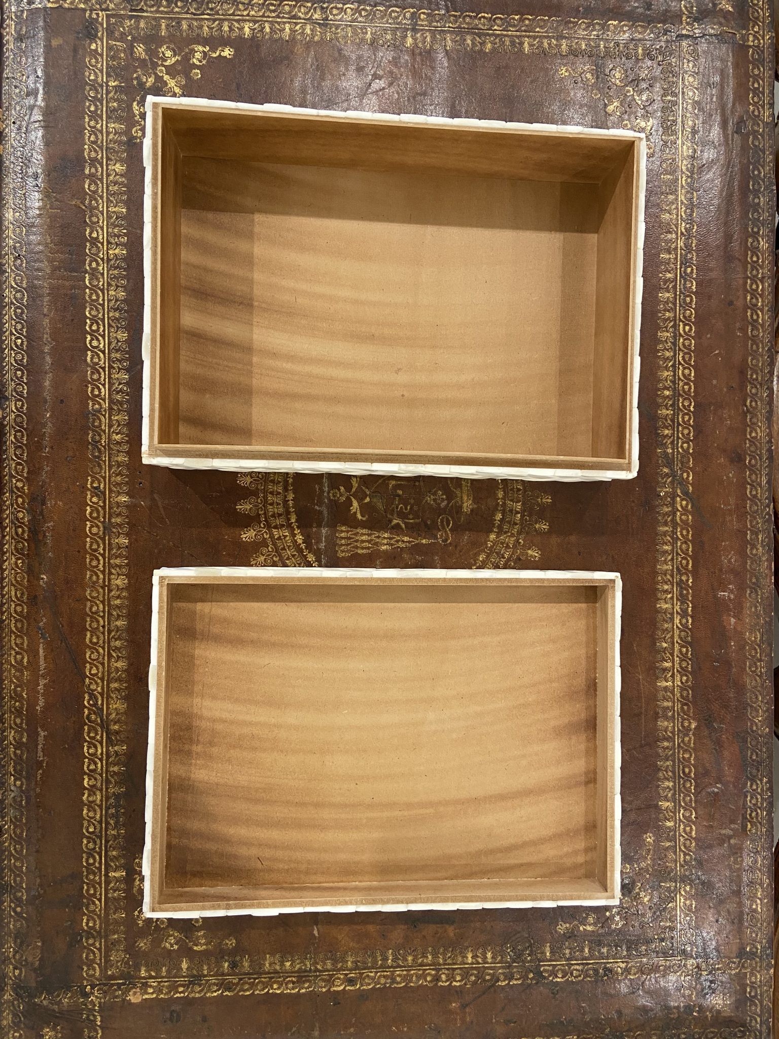 Decorative Braided Bone Box | Official Tara Shaw